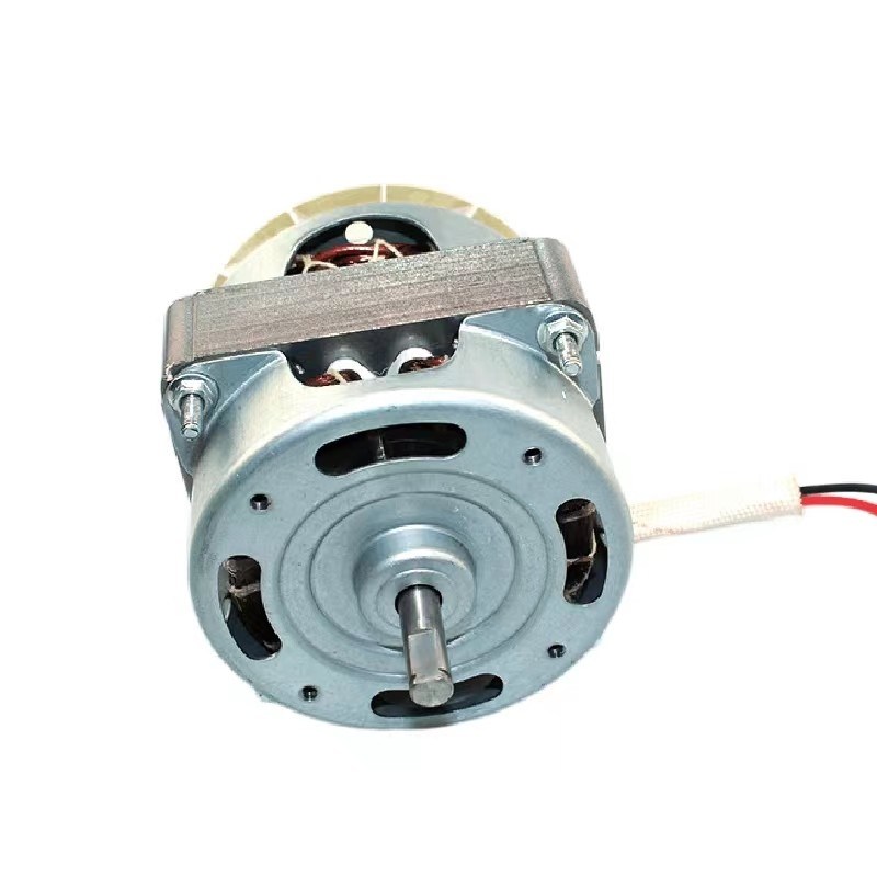 Motore a corrente alternata monofase da 100 a 500 W con involucro a ...